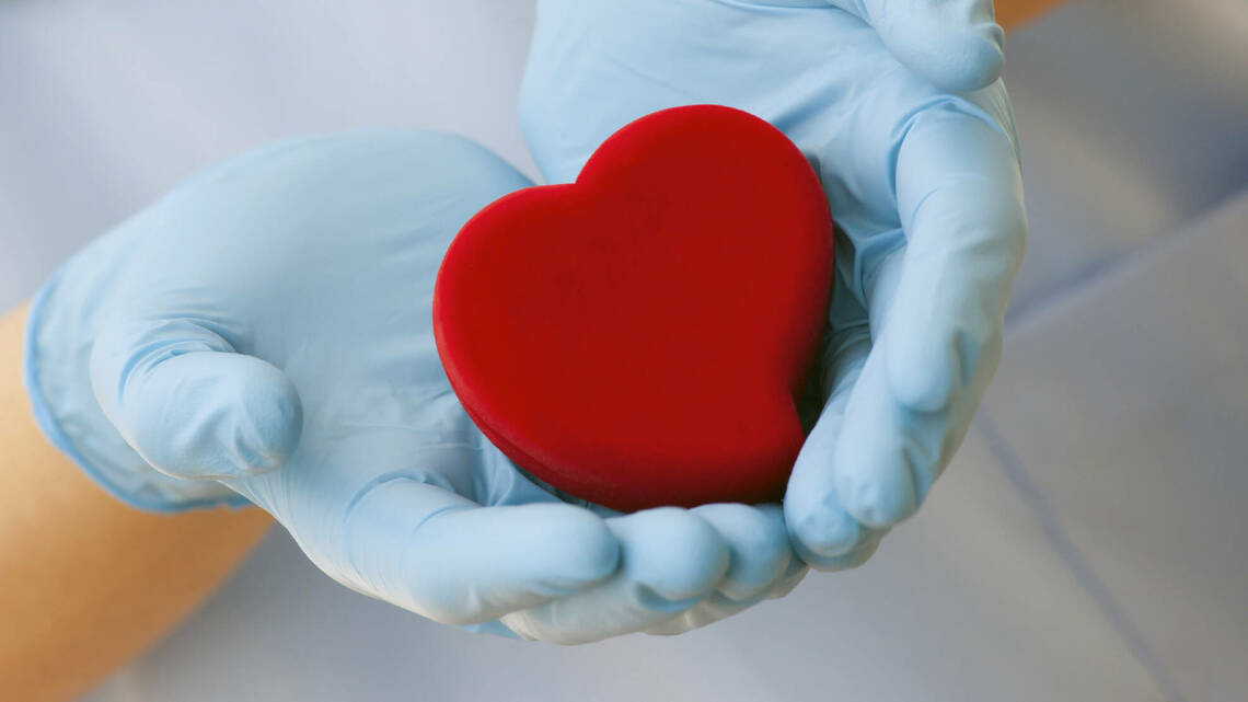 Discharge Heart Failure Nurse - Pilotprojekt setzt auf spezielle ...