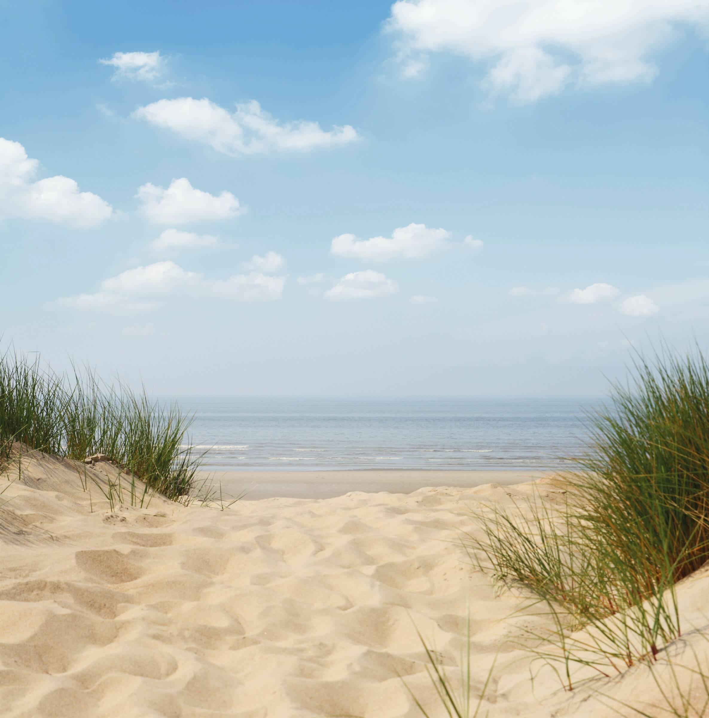 Ein letztes Mal ans Meer...